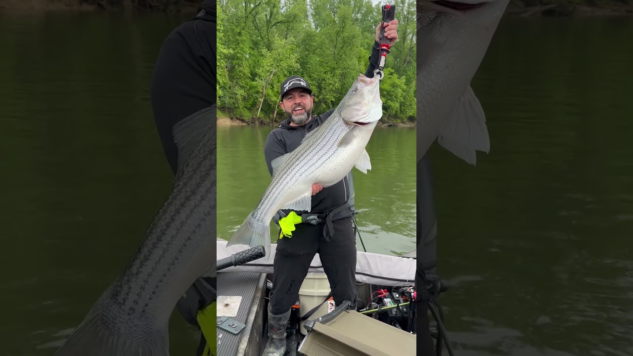 30 pounder club! #fishmore #letsfish #fishon #alumacraftboats