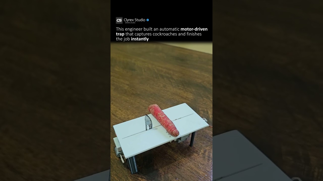 This Trap Works… Too Well