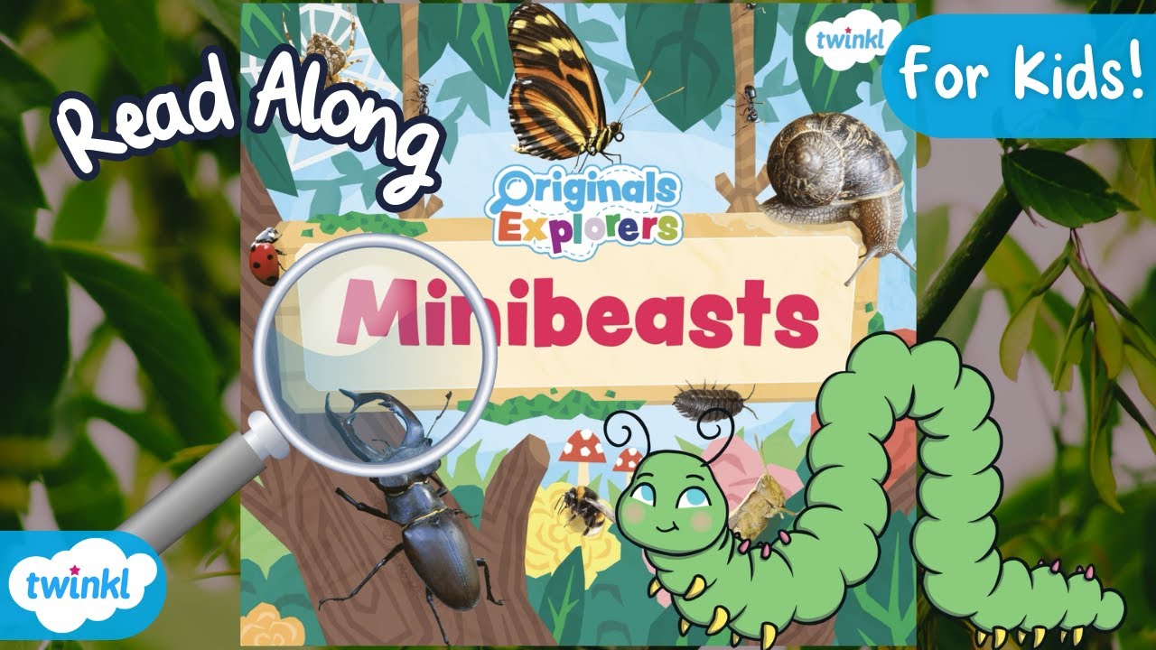 Twinkl Originals | Minibeasts Read Along