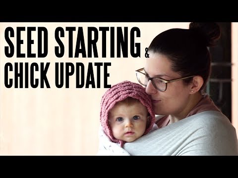 We Finally Started Our Seeds For The Homestead Garden