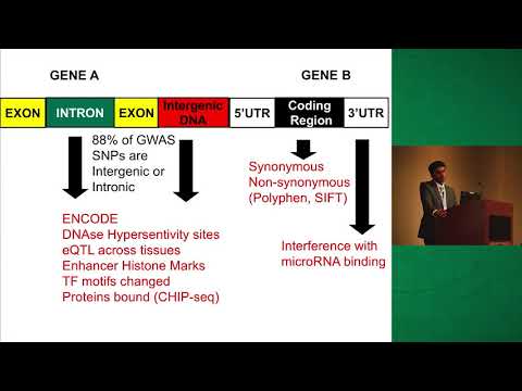 Natriuretic Peptide Deficiency and Cardiometabolic Health