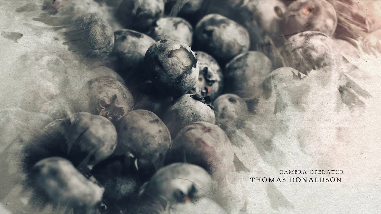 Cinematic Ink Slideshow | After Effects template