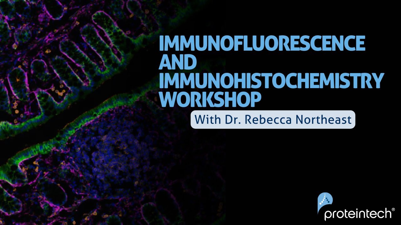 Immunofluorescence and Immunohistochemistry Workshop