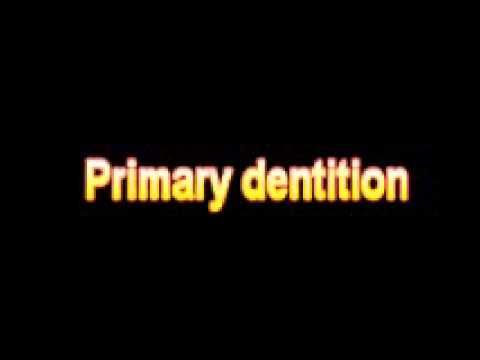 What Is The Definition Of Primary dentition Medical School Terminology Dictionary