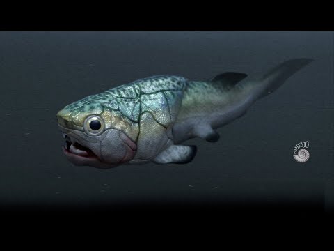 Placoderms of the Devonian Sea.