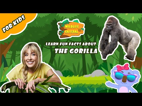 Gorilla Facts