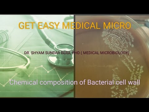 Chemical composition of Bacterial cell wall@ Get Easy medical micro