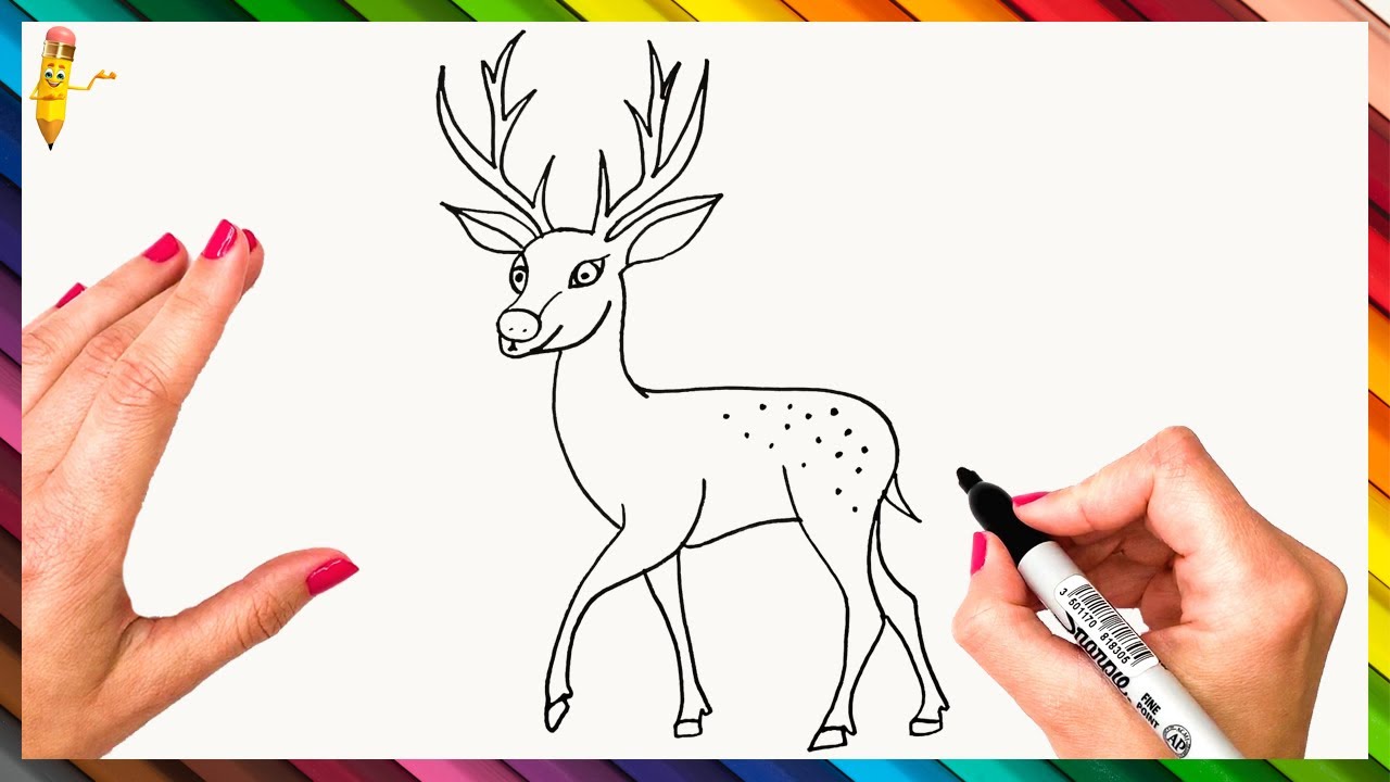 How To Draw A Deer Step By Step 🦌 Deer Drawing Easy