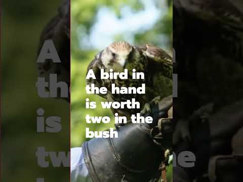 A bird in the hand is worth 2 in the bush
