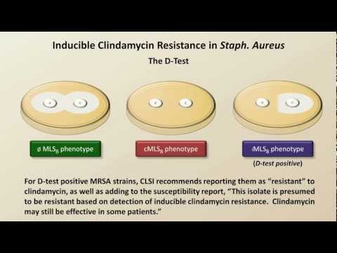 Antibiotic Resistance (Antibiotics - Lecture 9)