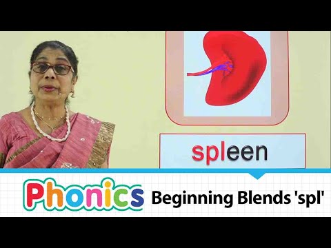 Beginning Blends 'spl' | Easy Phonetics Video | Phonics Learning Video part-134