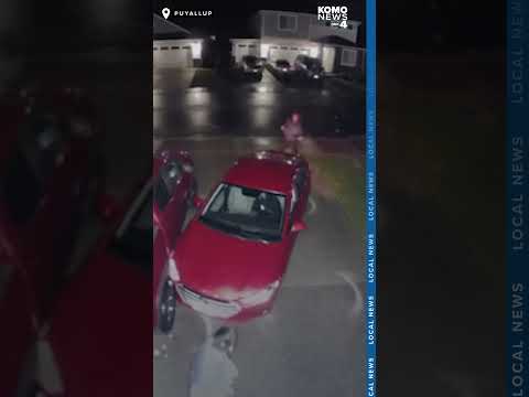 Video shows Puyallup man attempt to stop car prowlers