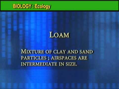 Components of Soil
