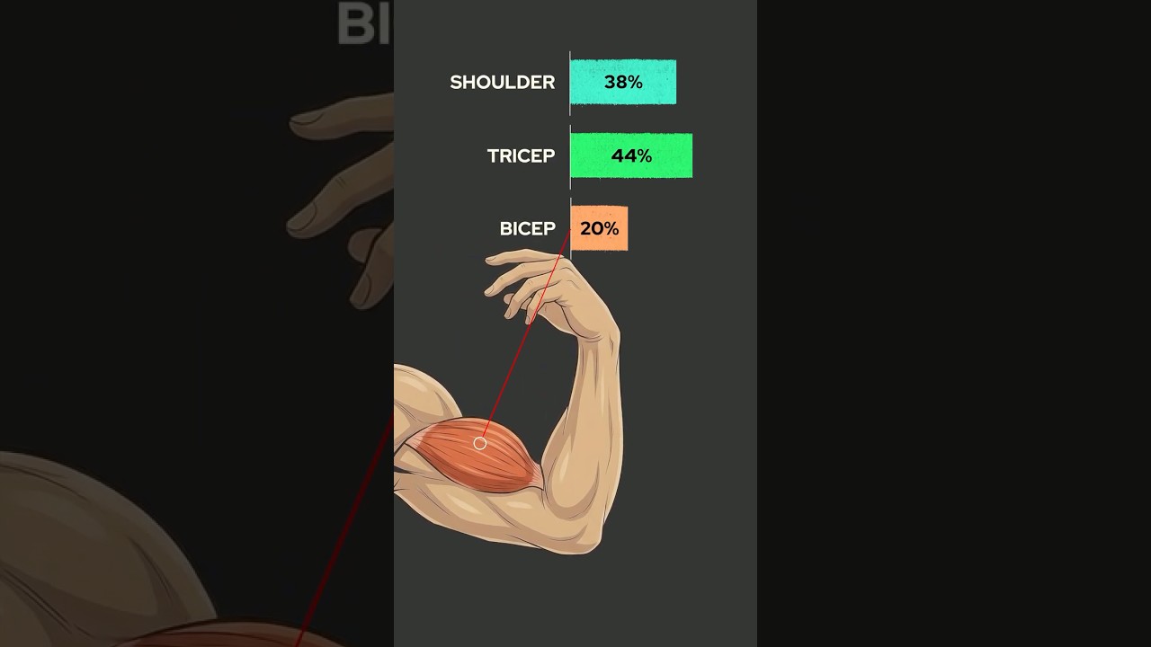 The muscle that makes arms look thick without flexing ( most men skip it )