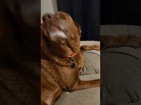 That's My Spot Kenworth!
