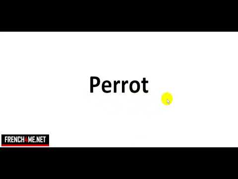 Quick Guide to French Last Names I Pronounce Them in Minutes # Episode 06