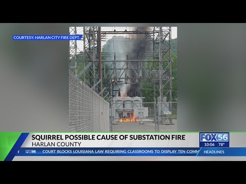 Squirrel 'possibly' causes Harlan substation fire, city power outage