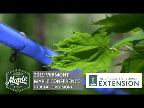 State of the Maple Market