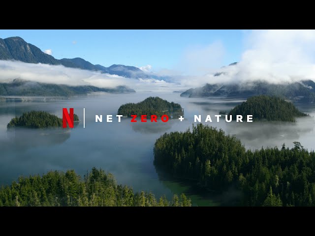 About Netflix - Sustainability