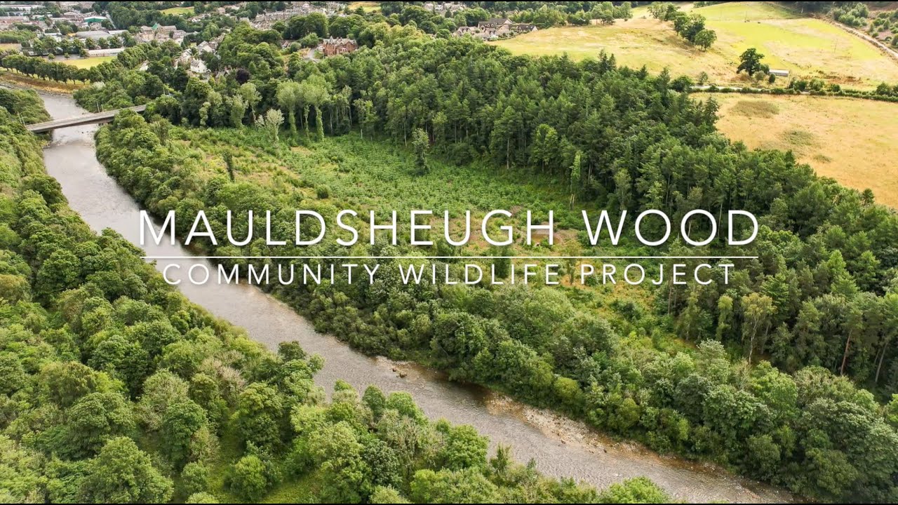 Woodland wildlife ranger experience | VisitScotland