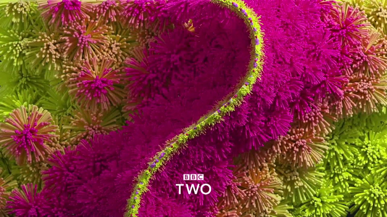 BBC Two Ident - Celebratory (Clean) - 2018