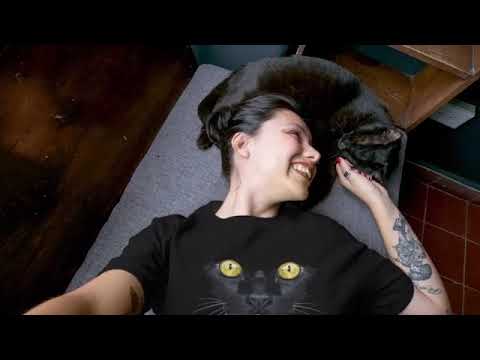 Amazon com black cat angry t shirt #shorts #shortvideo #short #tshirt #amazing #design #memes