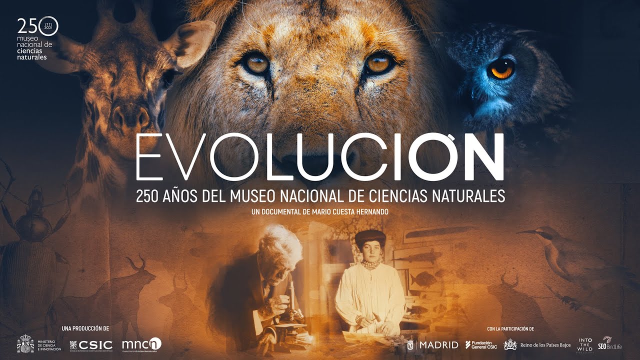 Evolución. 250 años del Museo nacional de Ciencias Naturales (MNCN-CSIC)