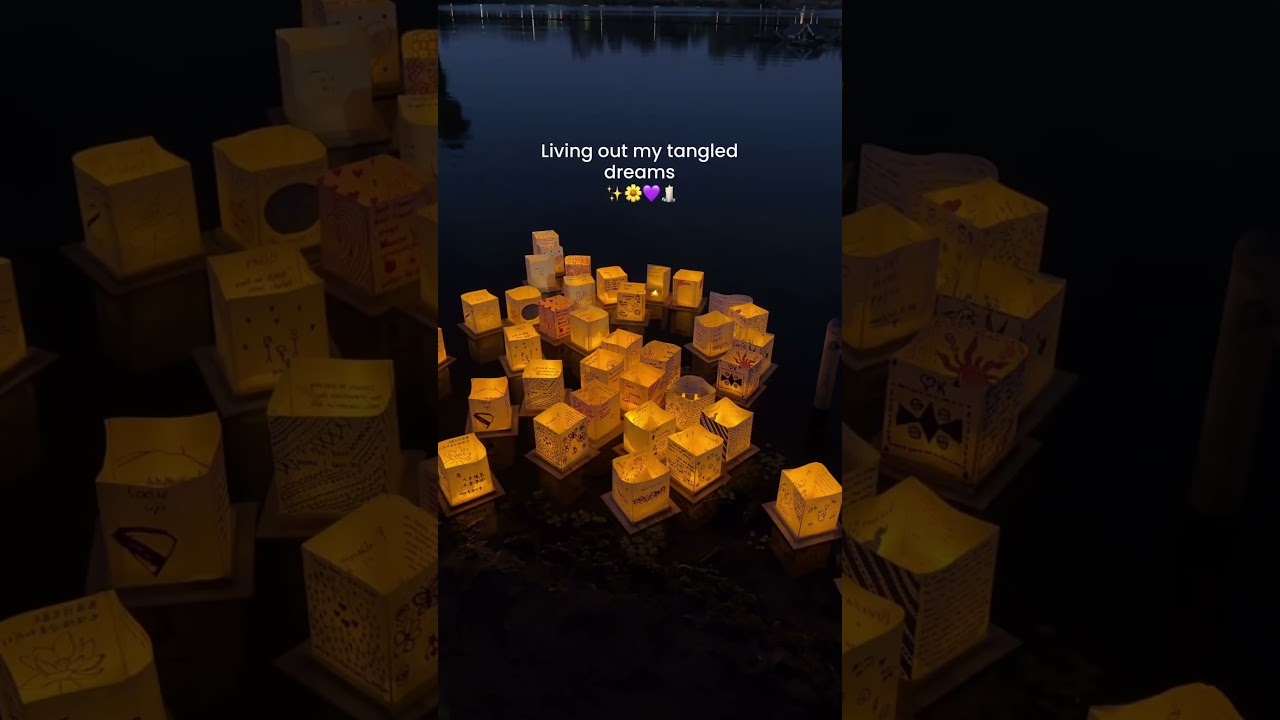 Such a magical experience ✨🌼💜#floatinglanterns #tangled #thingstodo #dateideas #bayarea