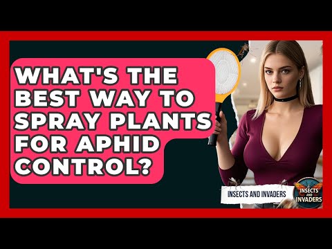 What's The Best Way To Spray Plants For Aphid Control? - Insects and Invaders