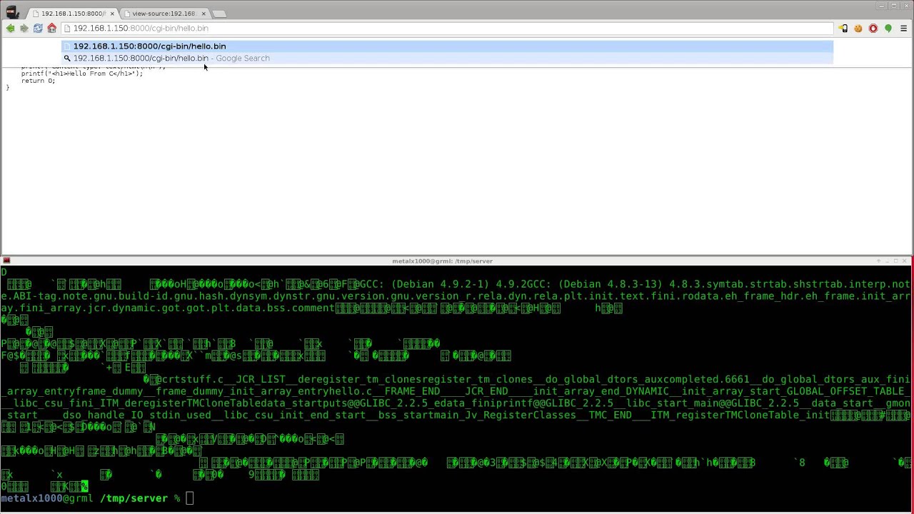 Server Side Script Setup - CGI Webserver with Python - Linux Tutorials