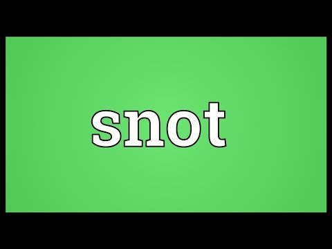 Snot Meaning