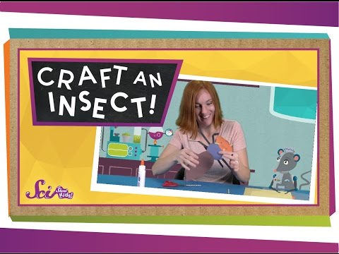 Craft an Insect! | Project for Kids