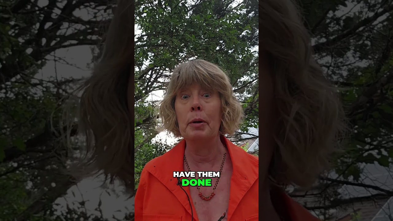 COBRA | Dental Waiting Period #dentalinsurance #insuranceagent #jkappconsulting #shorts