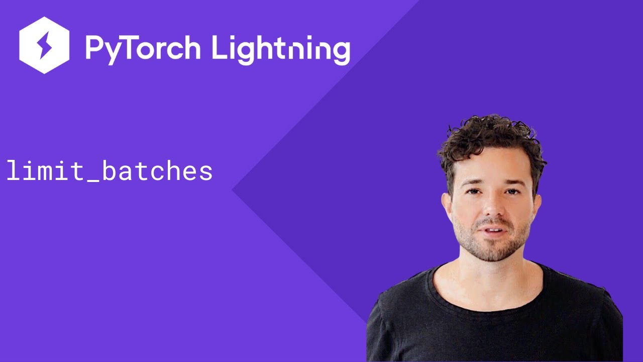 PyTorch Lightning - limit batches