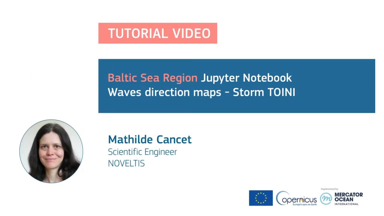 Jupyter Tutorial - Baltic Sea - Waves direction maps during storm TOINI