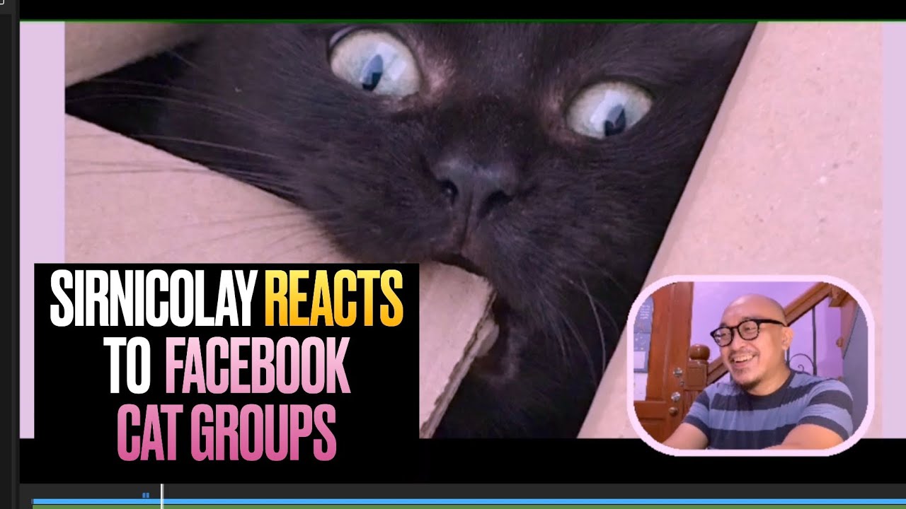 SirNicolay Reacts to Facebook Cat Groups--Happy Cats and Cat Lovers Philippines