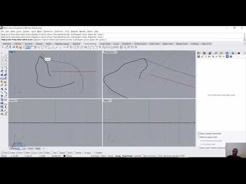 rhino curve – Phoenix