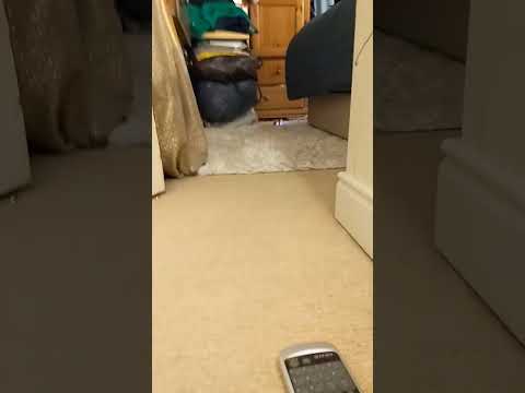 Steam Community :: Video :: Rego mario ded #lego #mario