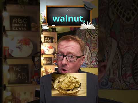 5 Nuts You Need to Know: English Names of 5 delicious nuts