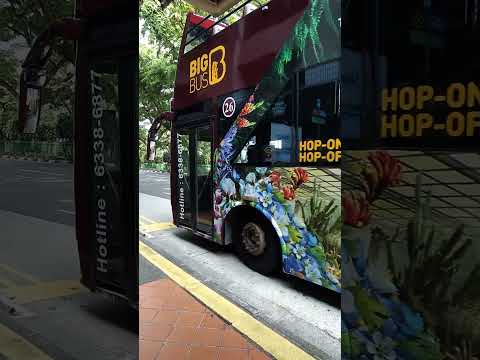 Big Bus Tour Singapore Scania K230UB Soon Chow Bodywork Open-top Departing bus stop PA9585A