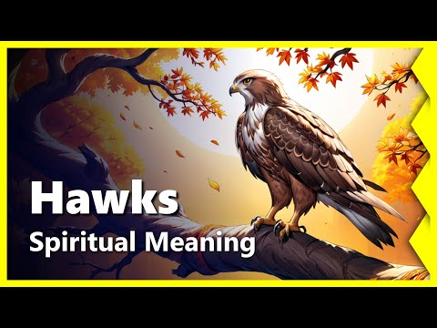 Spiritual Meaning of Hawks (Encounters, Dreams & Historical Symbolism)