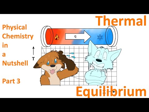 Thermal Equilibrium 101 (Heat Conductivity, Diffusion and Carnot Cycle; PhysChemBasics#3)
