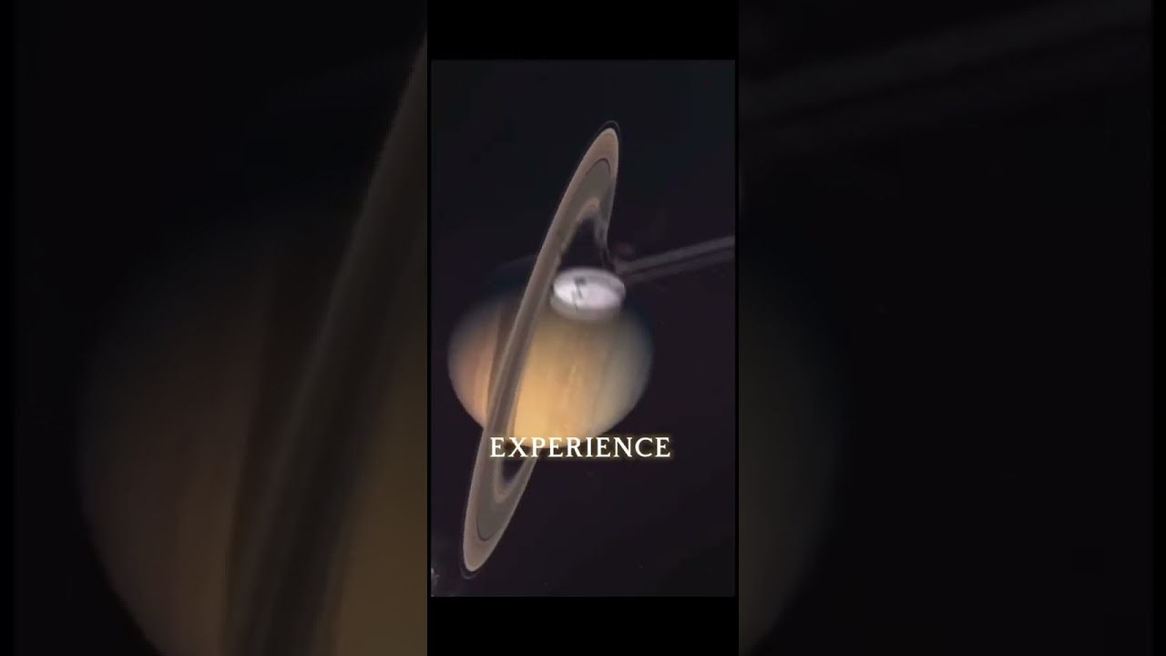 Follow the Yellow Bird 🕊️#quantumleaping #transformation #meditation #followtheyellowbird