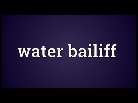 Water bailiff Meaning