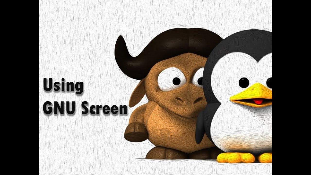 Using GNU Screen | For Persistent Terminal Session