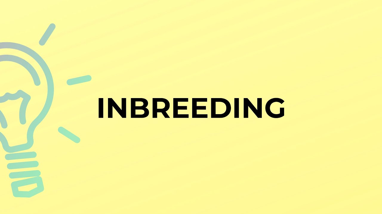 What is the meaning of the word INBREEDING?
