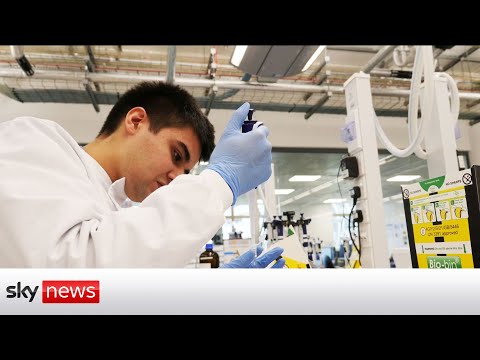 COVID-19: Can scientists make a virus 'early warning' system?