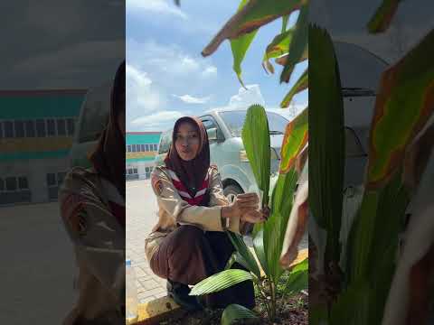 PROGRAM MELATI : Pelestarian Alam Dengan Bingkai Iman dan Taqwa di Madrasah. #kemenag