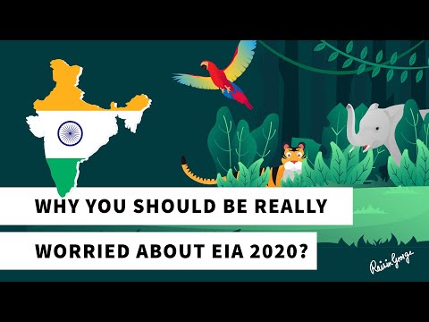 Wake Up! Environmental Impact Assessment 2020 Can Be Catastrophic! | Street Stories | Raisin George