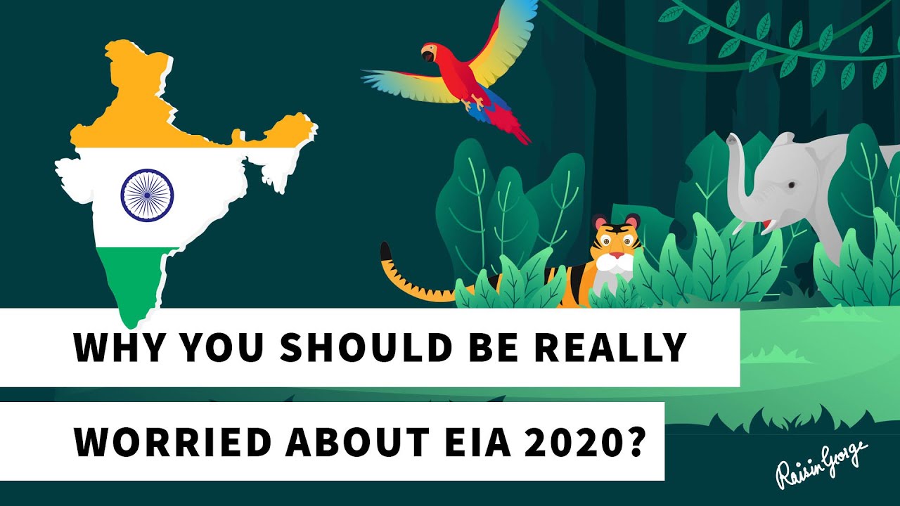 Wake Up! Environmental Impact Assessment 2020 Can Be Catastrophic! | Street Stories | Raisin George